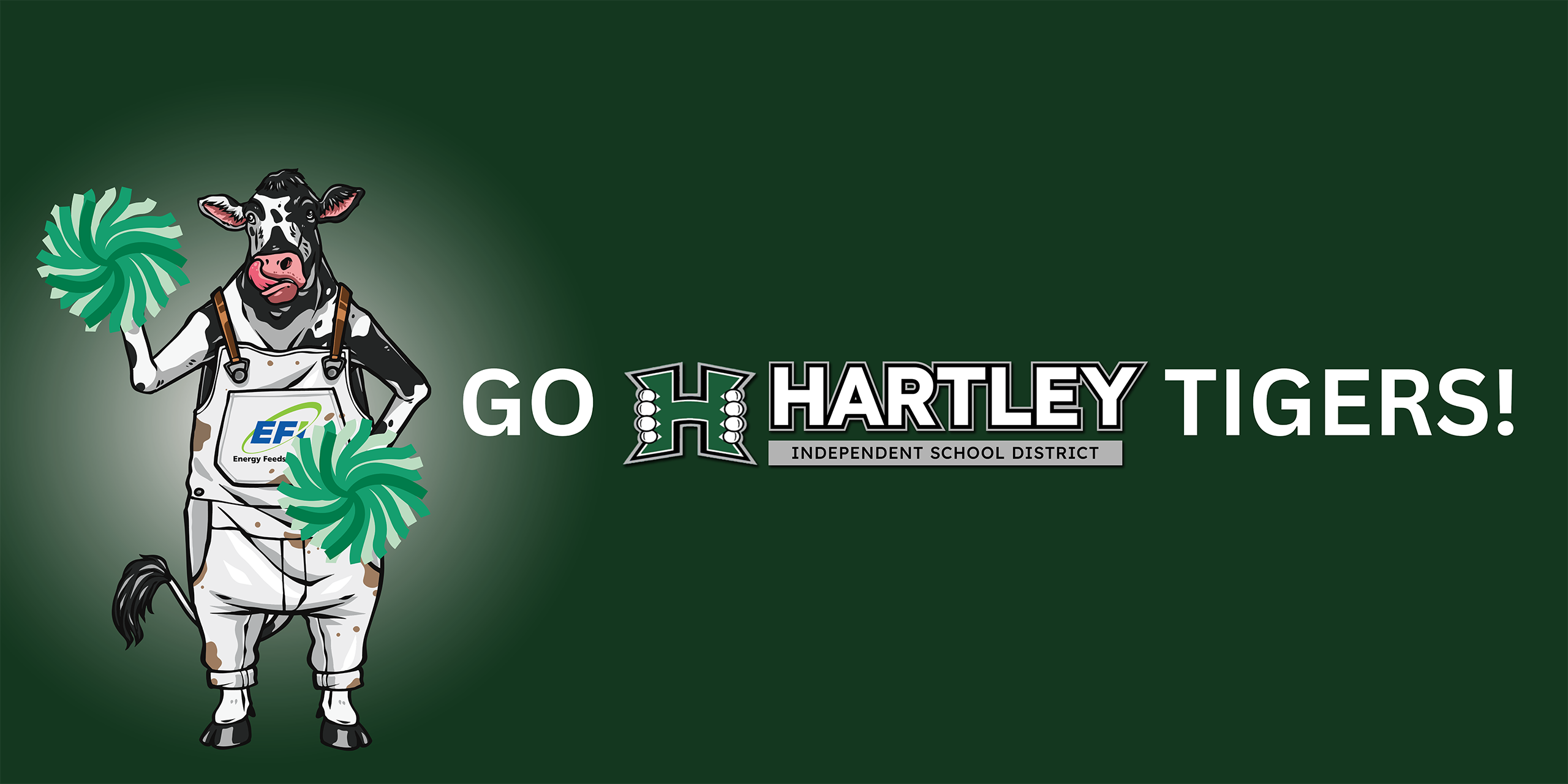 Empowering the Future: Supporting Hartley High School's Basketball Team ...