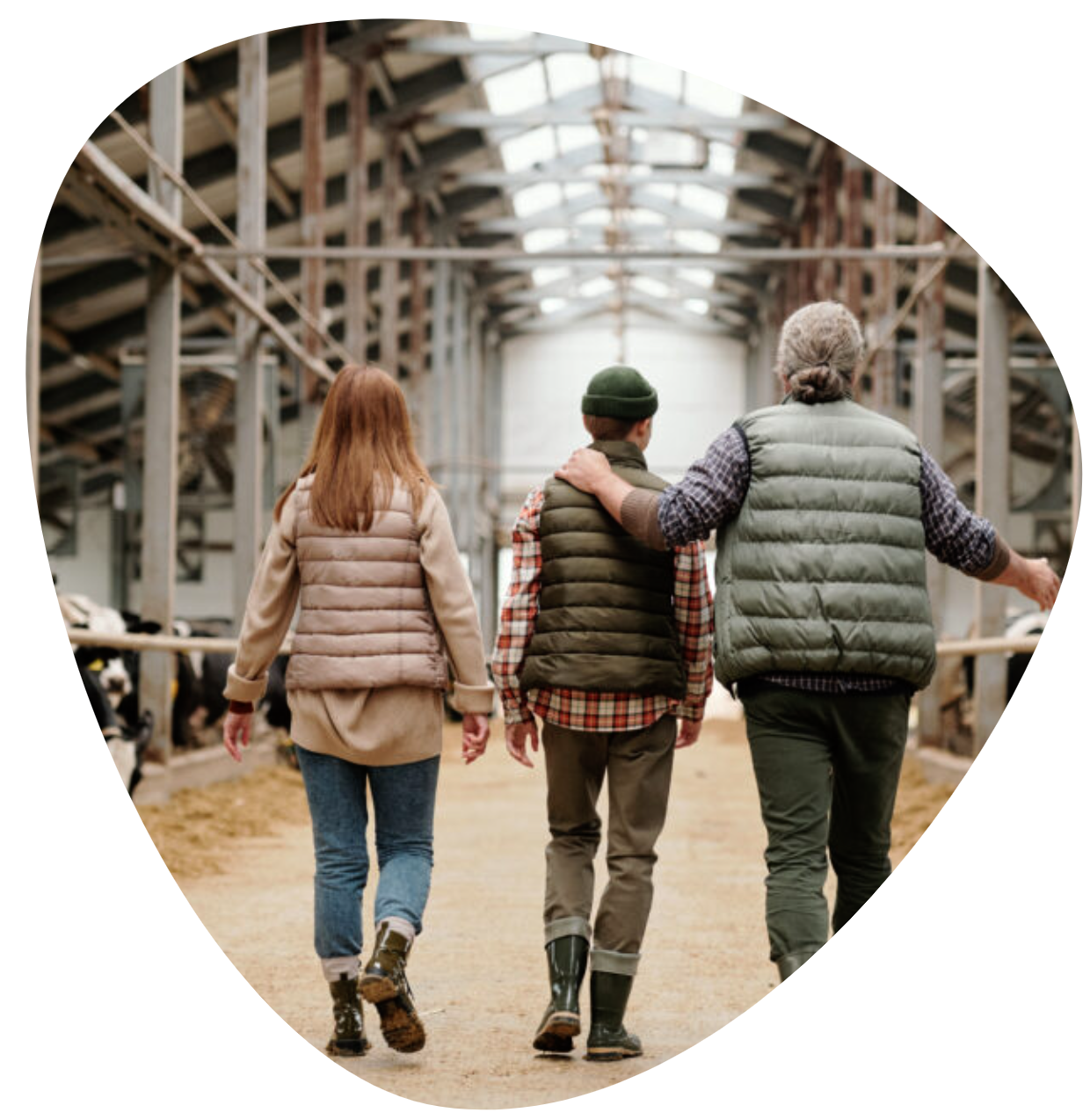 Home - Energy Feeds International