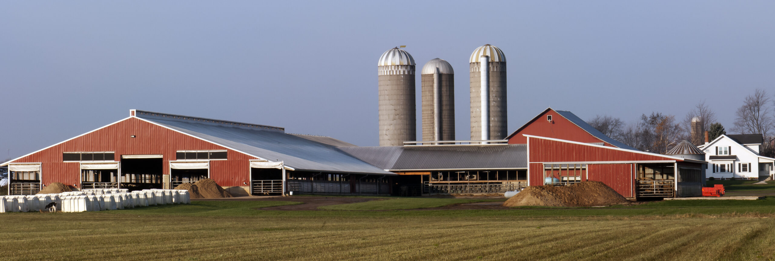 StearoLac - Energy Feeds International